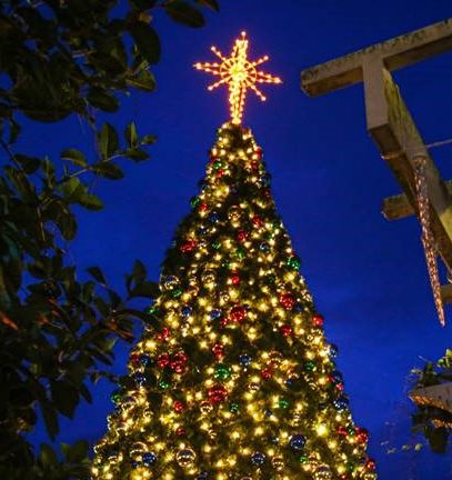 Downtown Winter Garden Events - Downtown Winter Garden