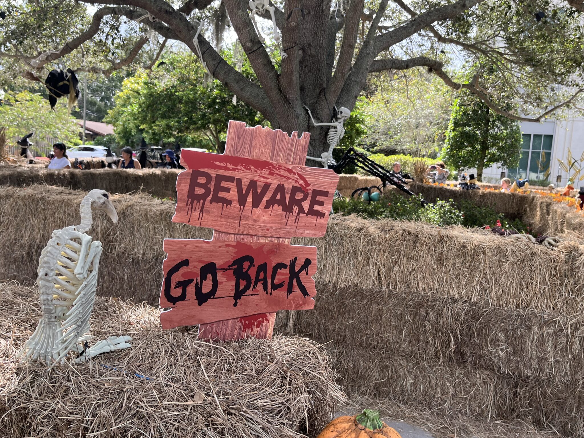 Downtown Transforms into a Two-Week Halloween Experience - Downtown ...